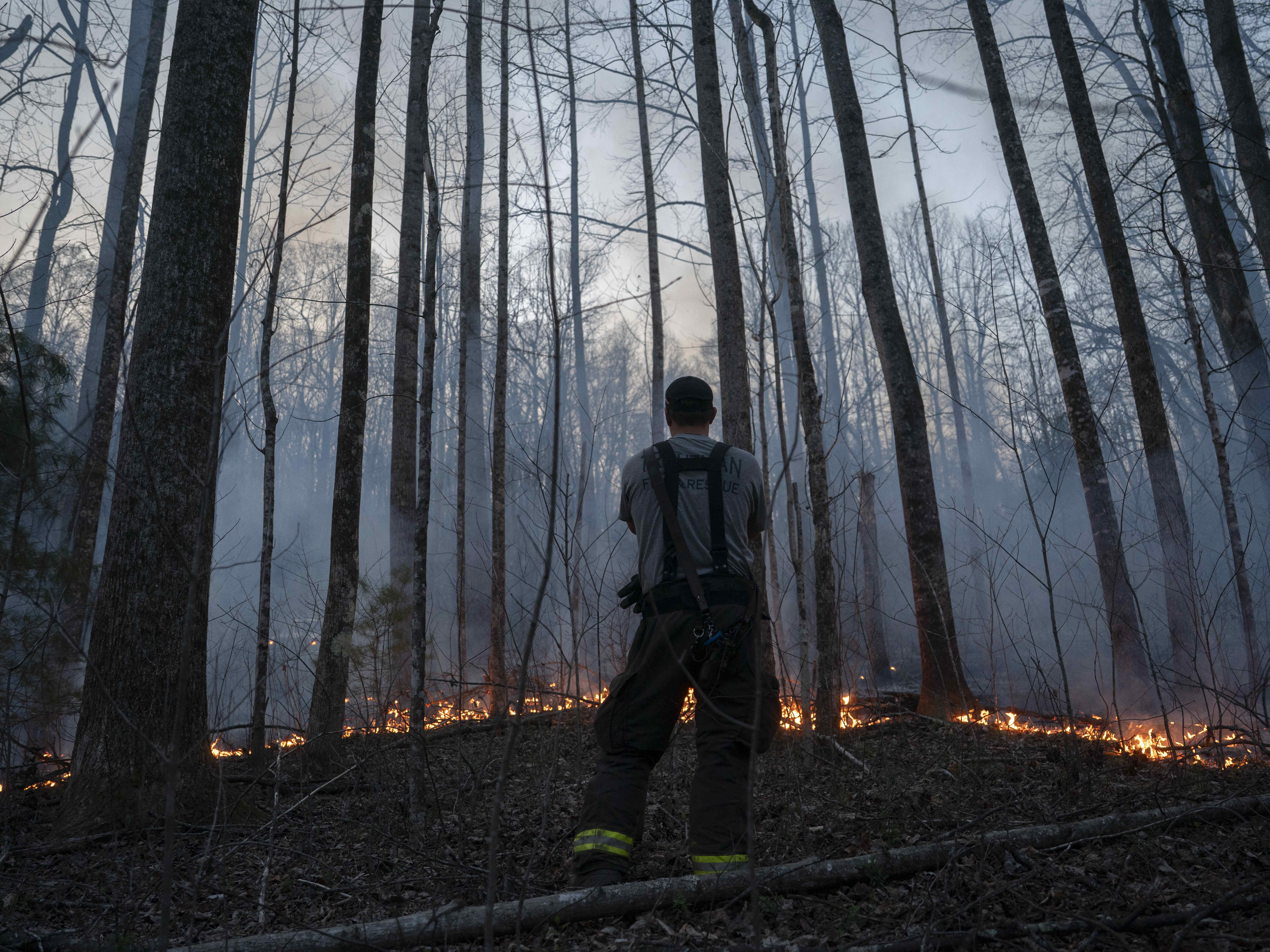 The Southeastern U.S. faces a future with more wildfires | NCPR News