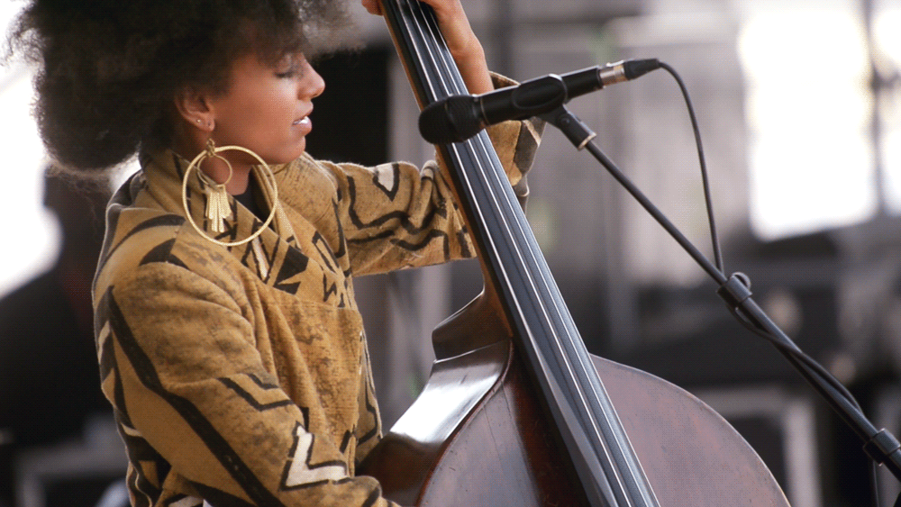 The 2013 Newport Jazz Festival In GIFs | NCPR News