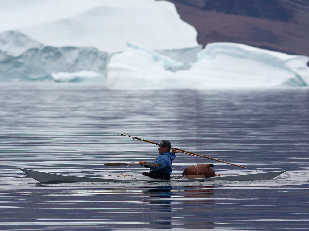 Inuit Hunters Help Scientists Track Narwhals : NPR