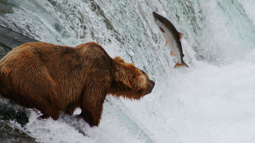 Nation's Parks Star In Ken Burns' New Documentary : NPR