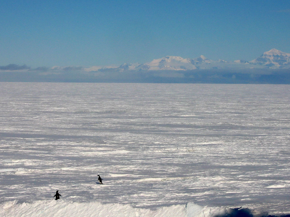 Radar Reveals Dynamic World Under Antarctica's Ice : NPR