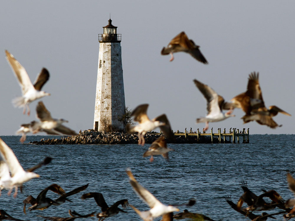 EPA Drafts Chesapeake Bay Cleanup Strategy | NCPR News