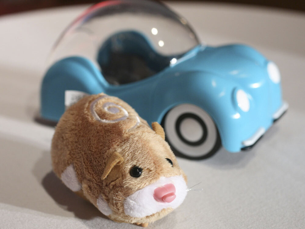 Hamster Toy Has Holiday Shoppers Hot On Its Tail : NPR