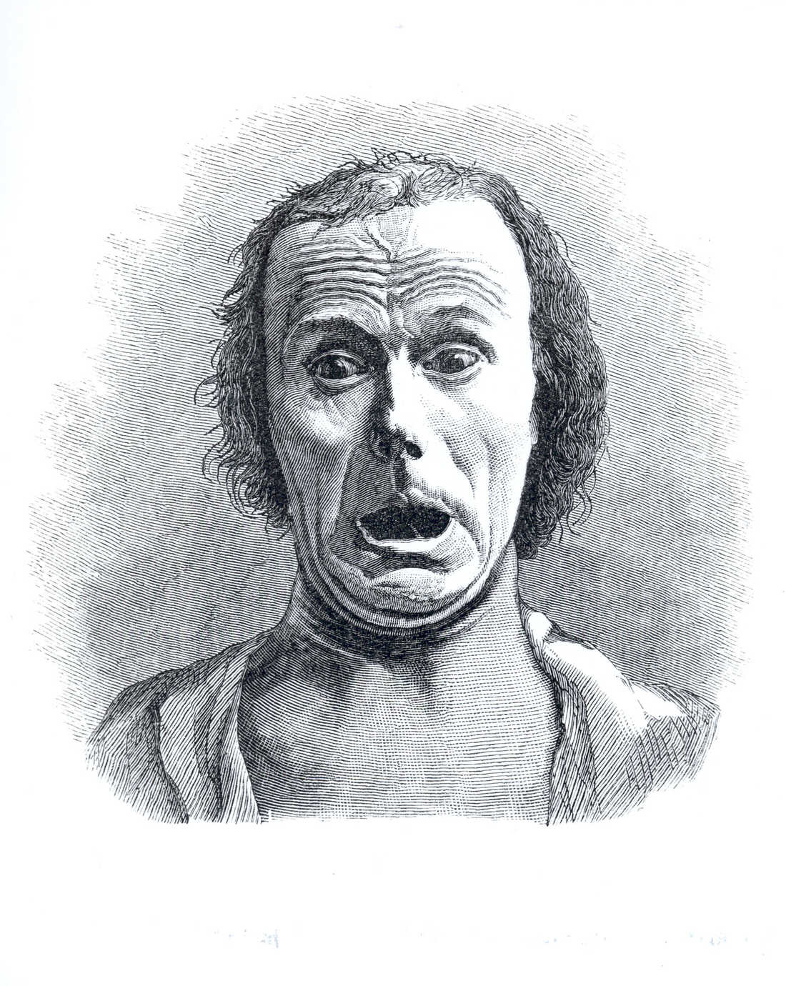 Darwin Had A Camera? : The Picture Show : NPR