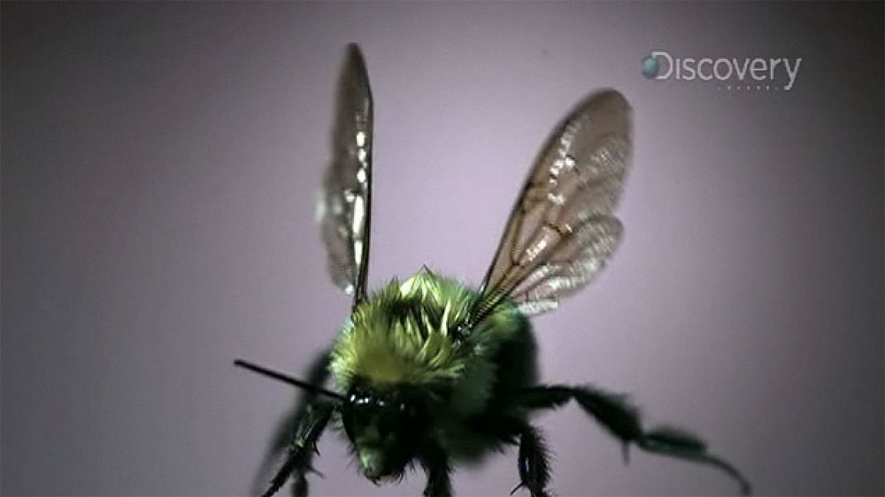 Super Slow-Mo Photography : The Picture Show : NPR