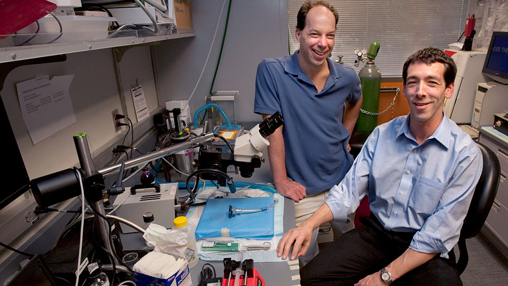 Genome Seen As Medical Crystal Ball : NPR