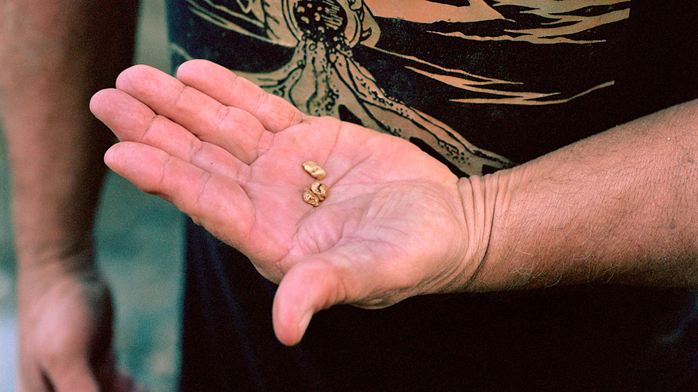 Modern-Day Gold Diggers, In The Literal Sense : The Picture Show : NPR