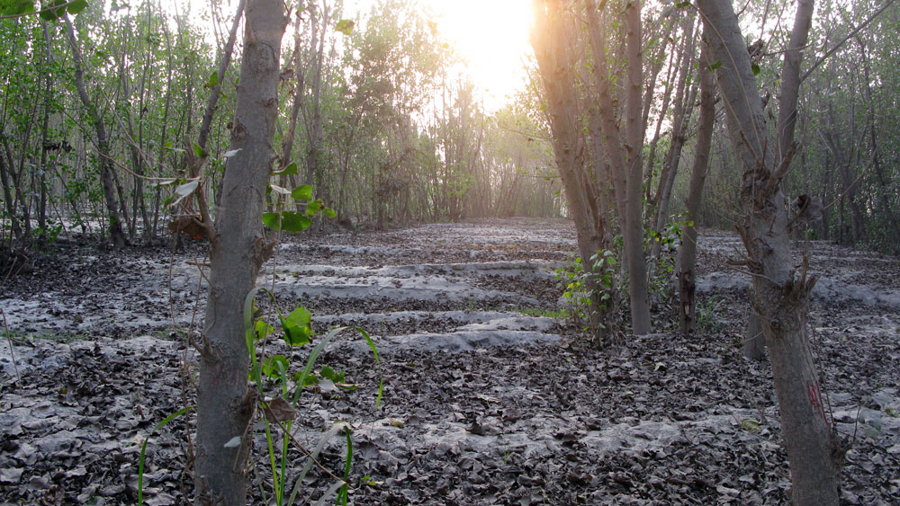 Government Mistrust Spreads In Post-Flood Pakistan : NPR