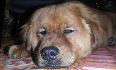 What a Can of Worms : NPR