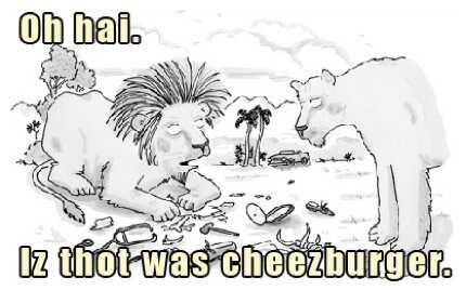 Inspired by ROFL Con : The Bryant Park Project : NPR