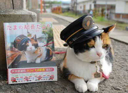 Cat Makes Economy : Planet Money : NPR