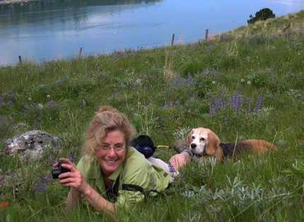 Starlet Still Missing Day 2 : Talking Plants Blog : NPR