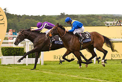 Jockeys Using Physics To Help Horses Run Faster : The Two-Way : NPR