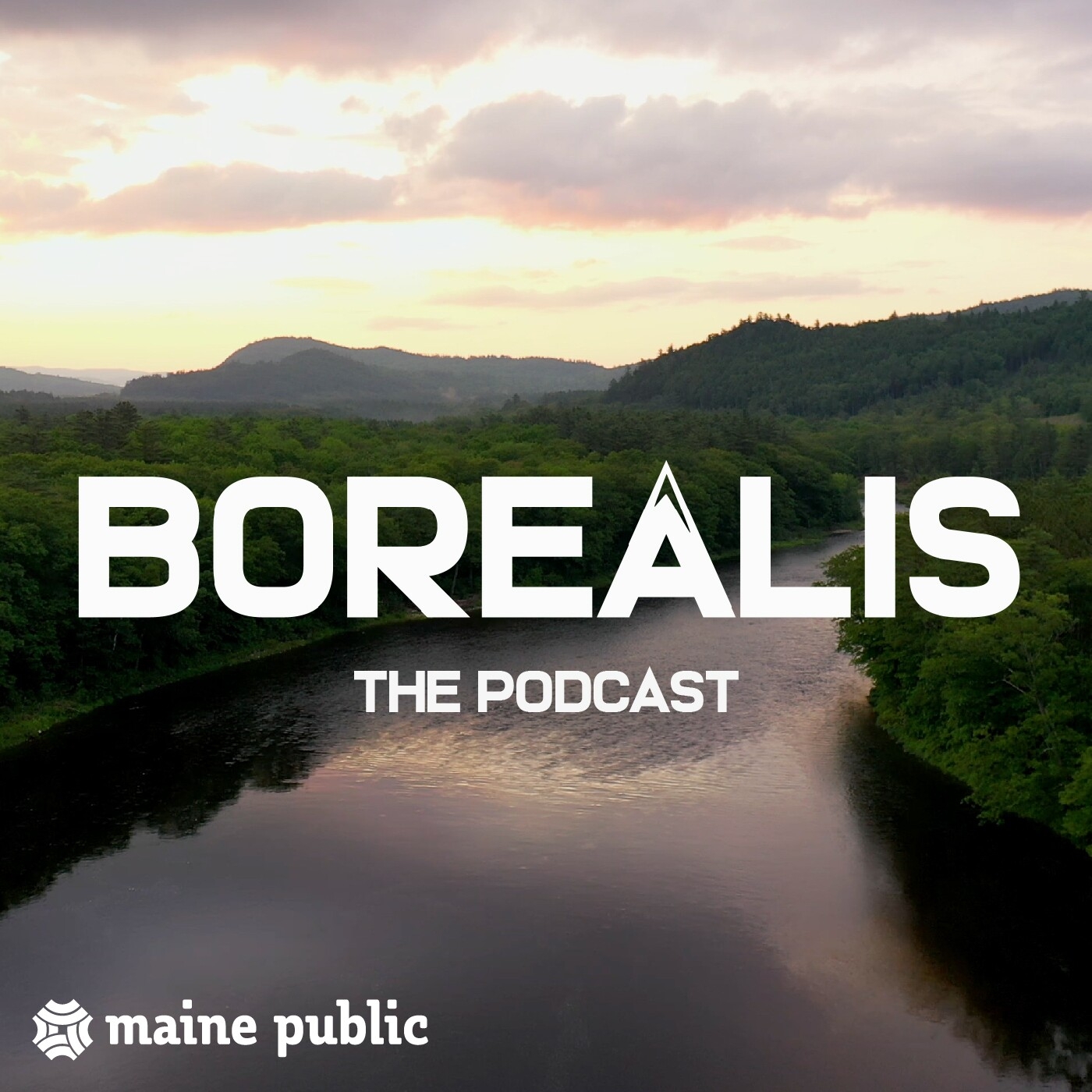 Borealis : NPR