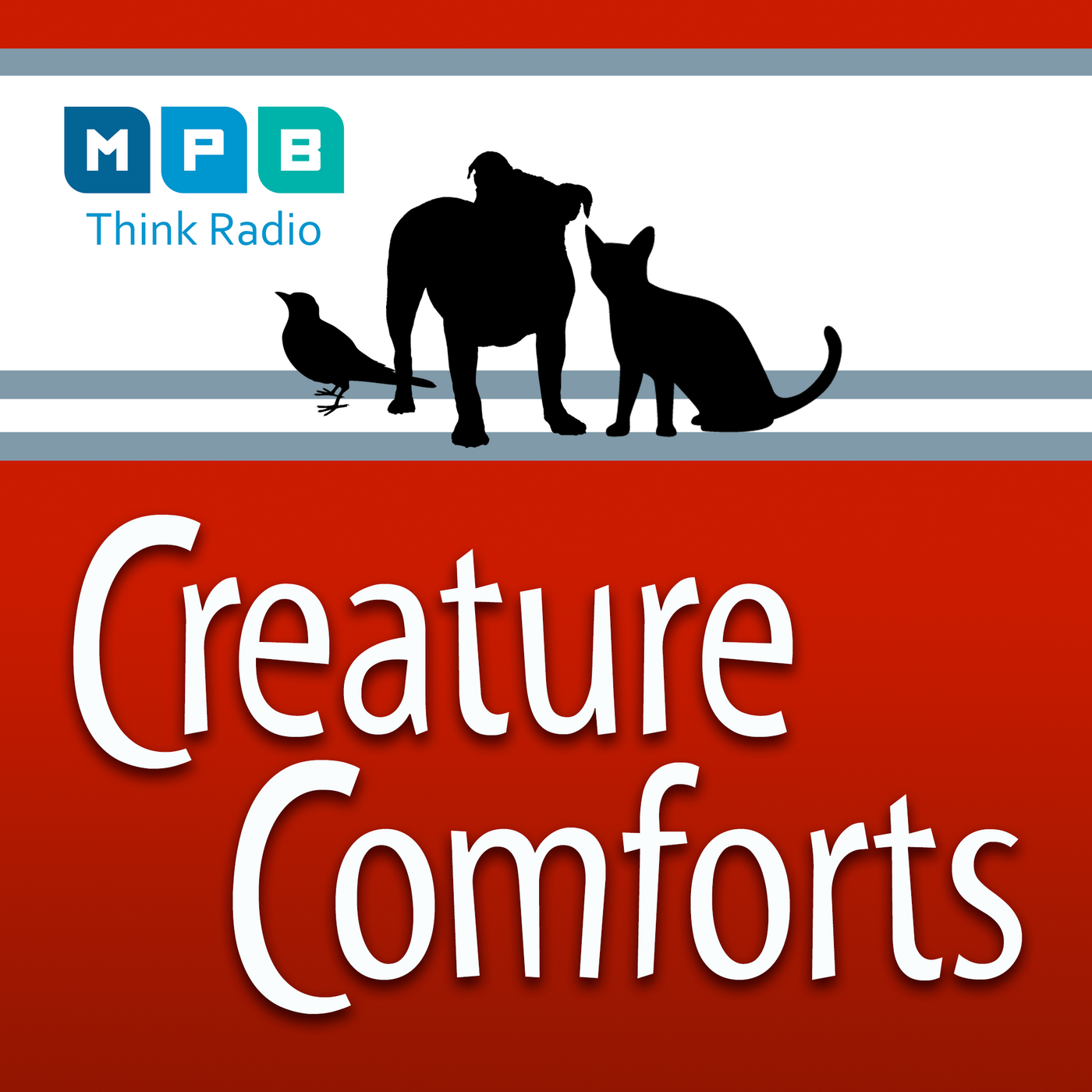 Creature Comforts : NPR