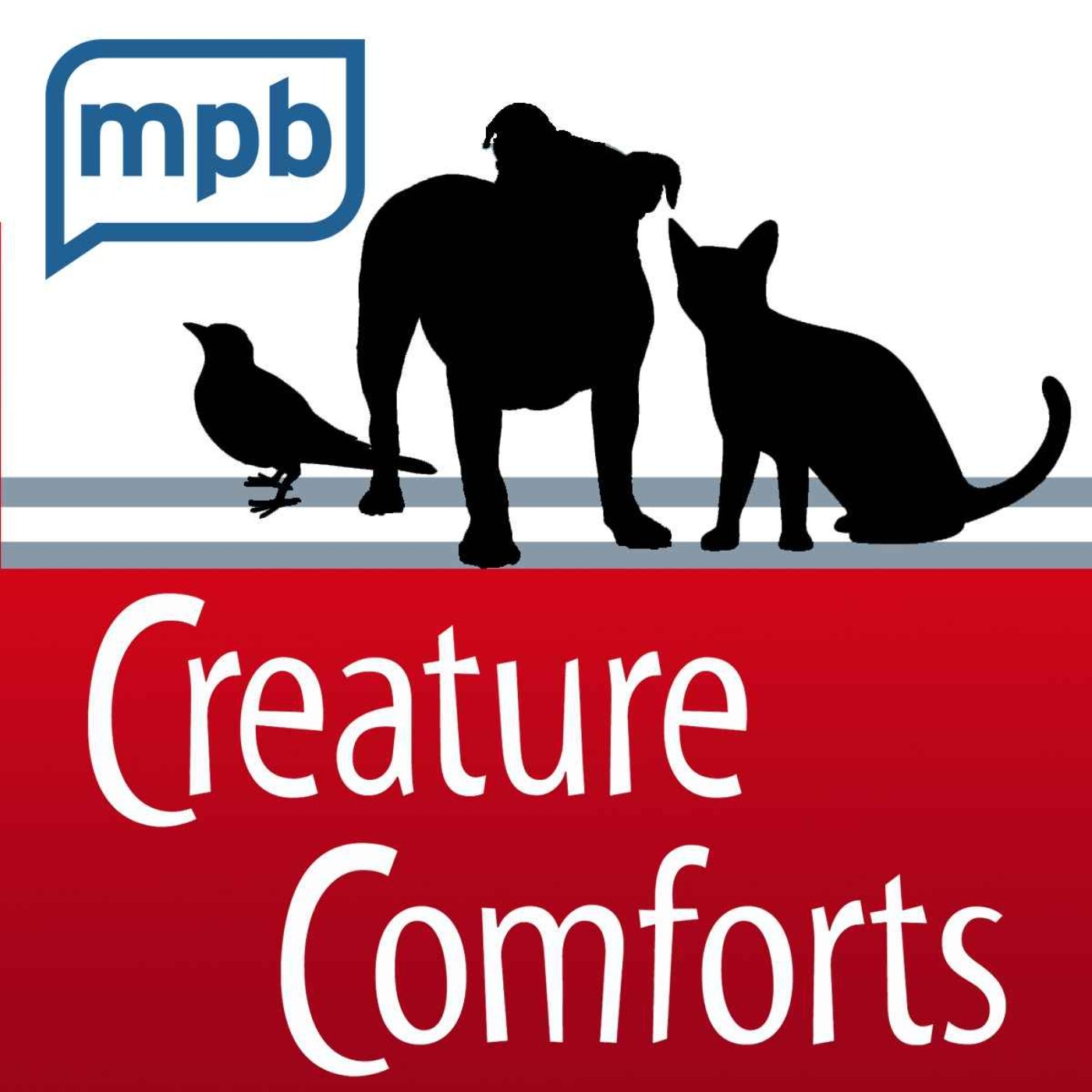 Creature Comforts : NPR