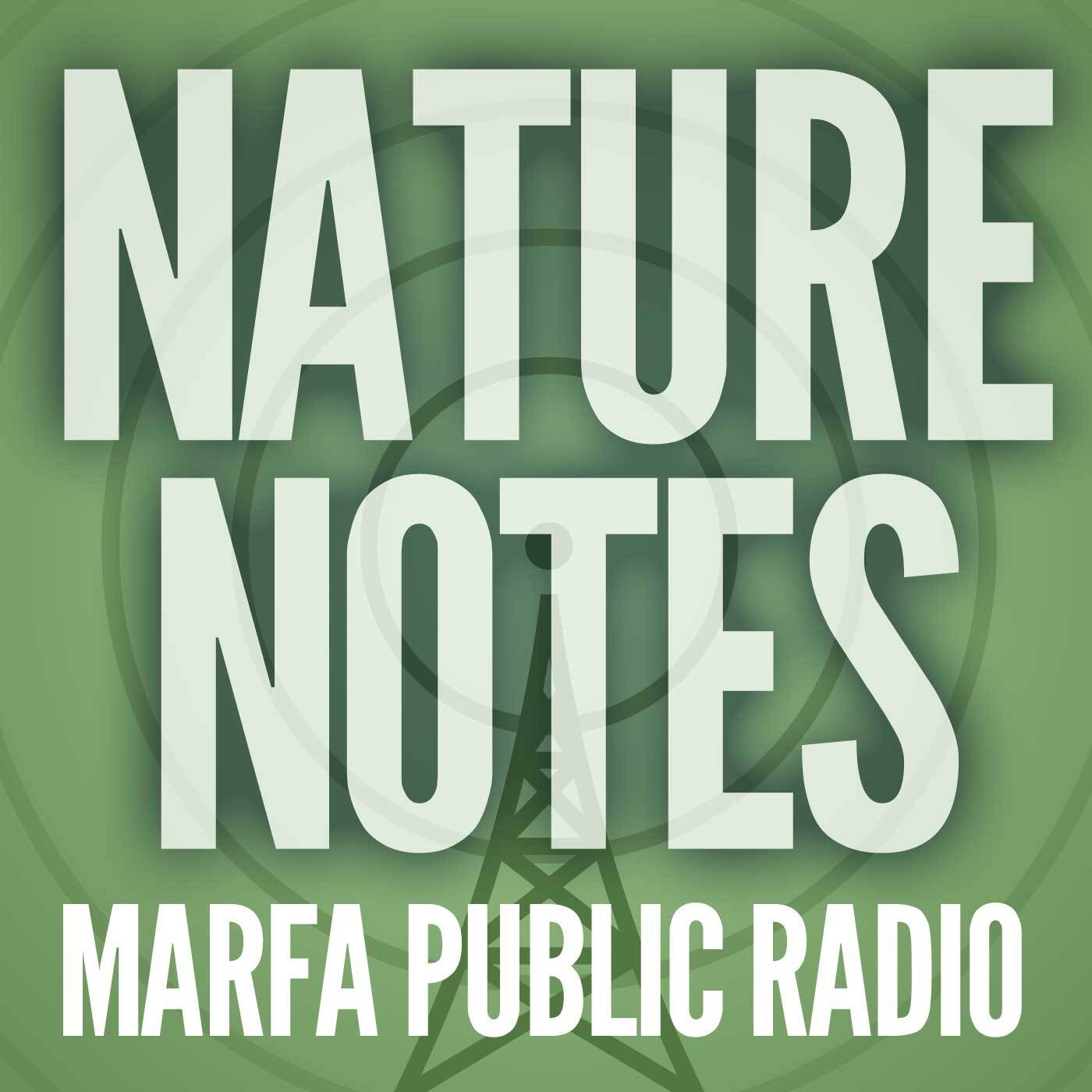 Nature Notes : NPR