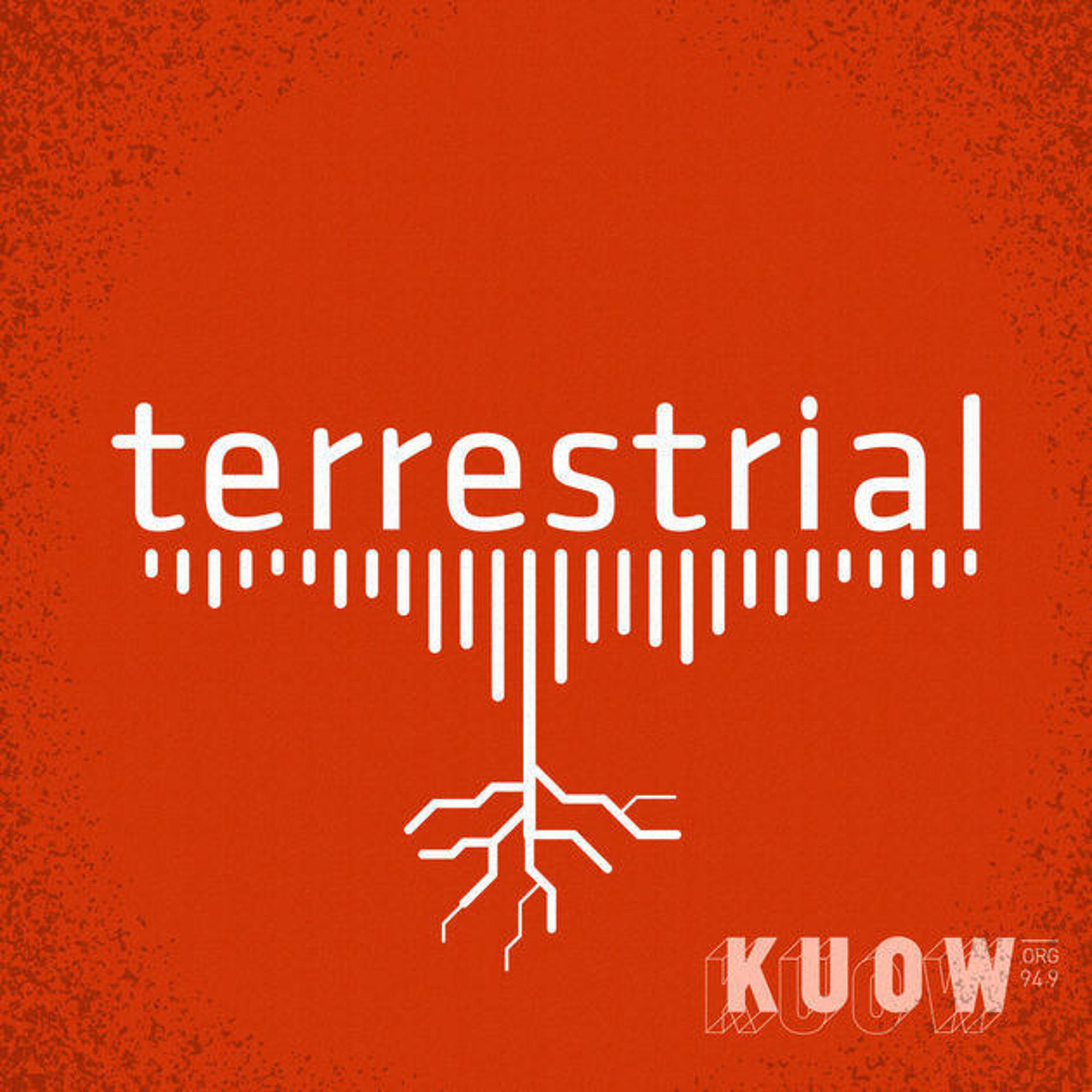 Terrestrial : NPR