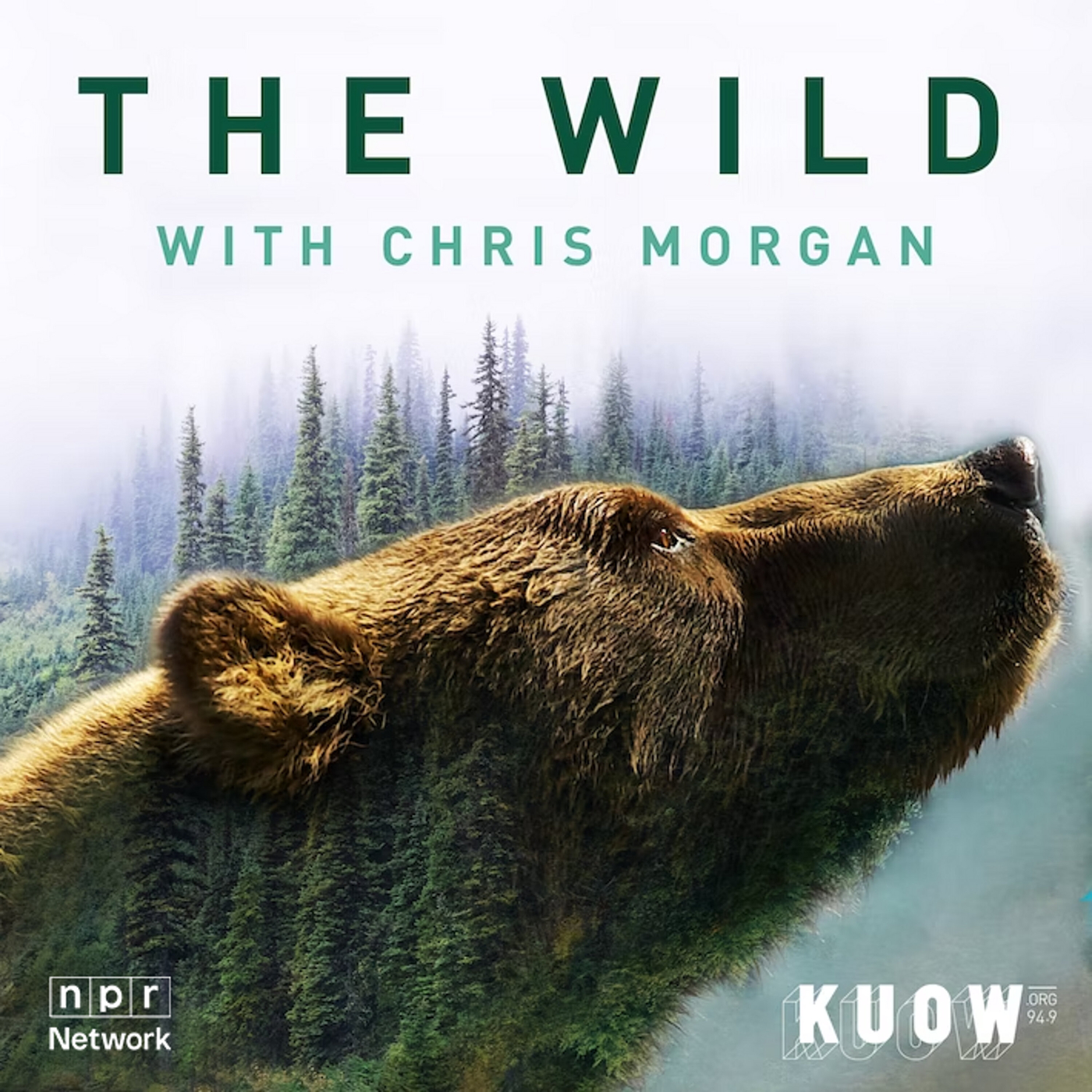 The Wild : NPR