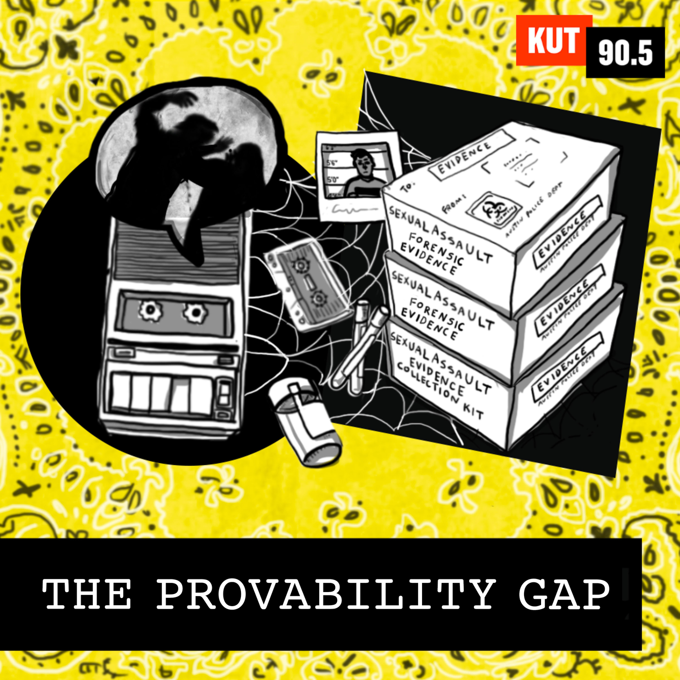 The Provability Gap : NPR
