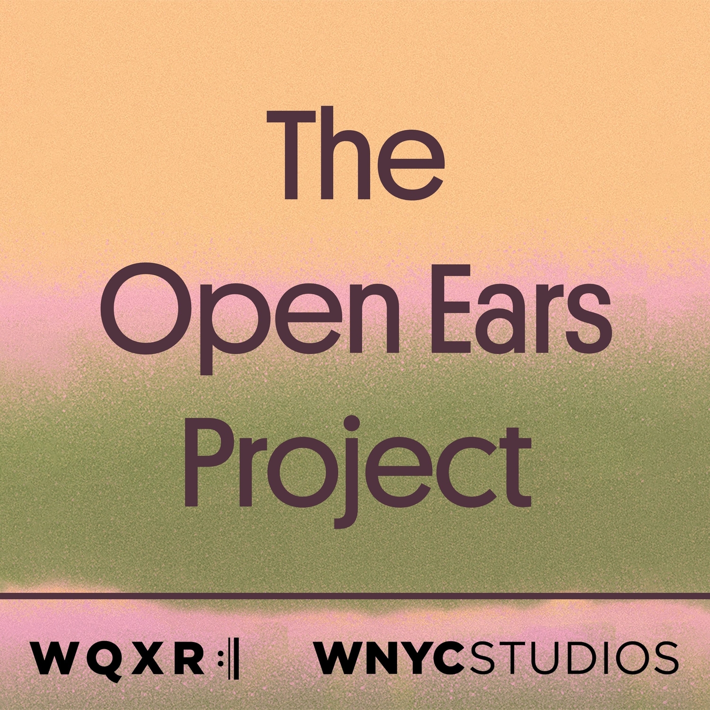 The Open Ears Project : NPR