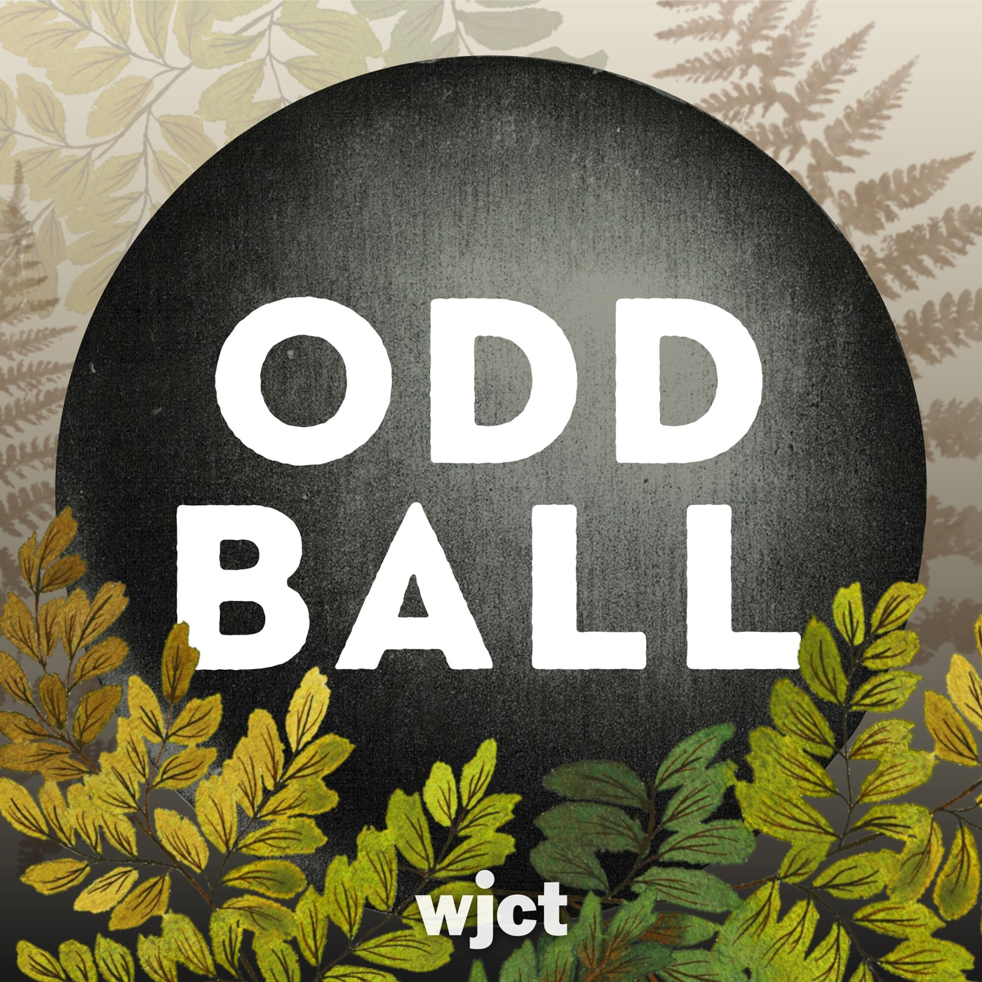 Odd Ball : NPR