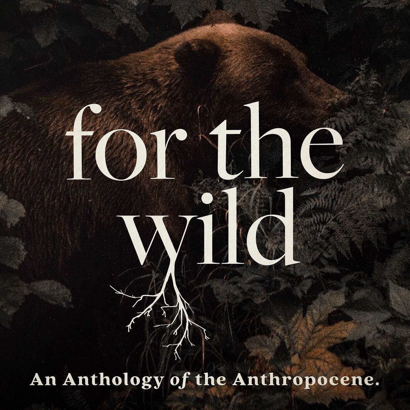 For The Wild : NPR