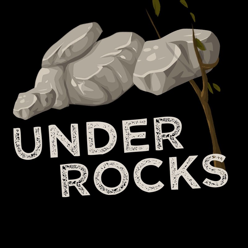 Under Rocks : NPR