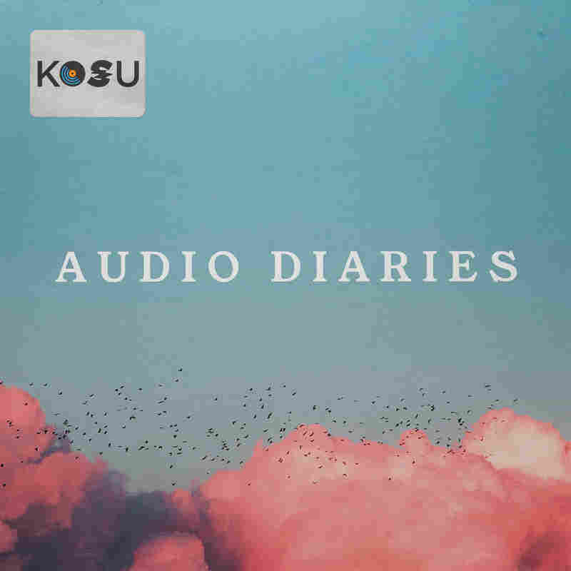 Audio Diaries : NPR
