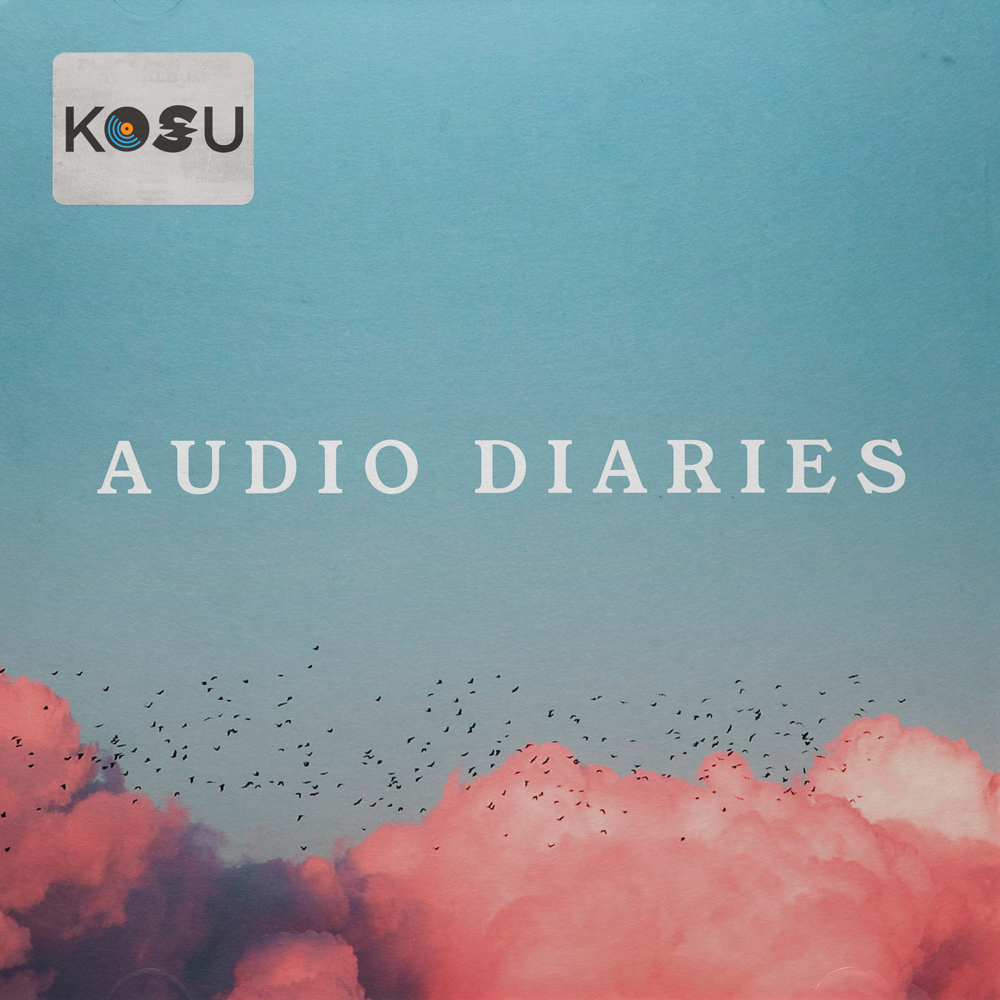 Audio Diaries : NPR