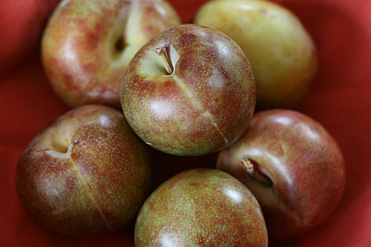 Pluots And Apriums: The Best Of Both Parents : NPR