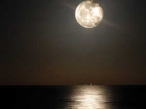 Why Do We Love the 'Moonlight' Sonata? : NPR