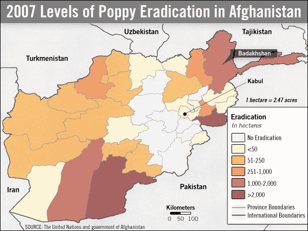 Teams Focus on Poppy Eradication in Afghanistan : NPR