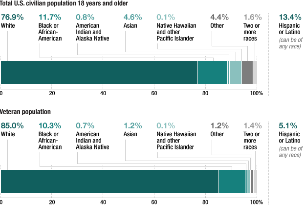 A Snapshot Of The New Veteran : NPR