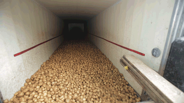 67 Years Of Potato Chip Innovation, In 5 Animated GIFs : Planet Money : NPR
