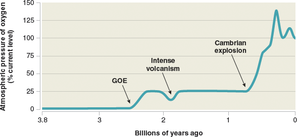 The Great Oxygenation Event The Earths First Mass