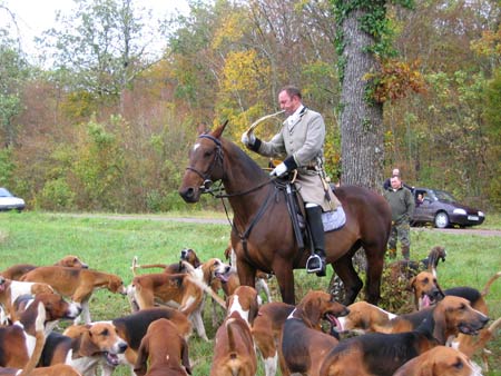 British Fox Hunters Head to France : NPR
