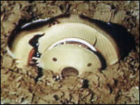 Genesis Space Capsule Crashes : NPR