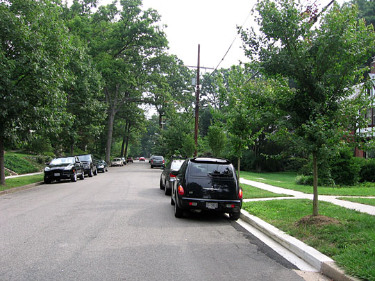 City Dweller Laments Loss Of Urban Trees : NPR