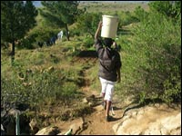 AIDS Transforms Life, Family Structure in Lesotho | NCPR News