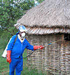 Using DDT to Battle Malaria : NPR