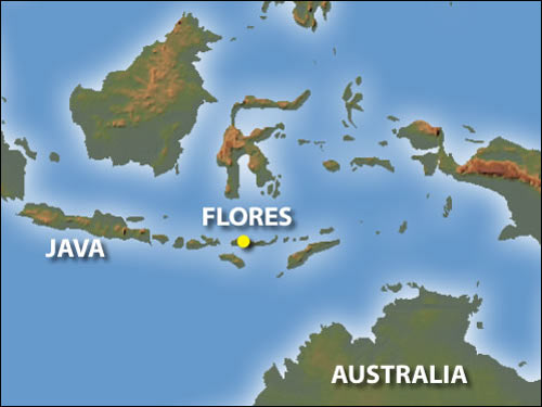 New Human Species Found : NPR