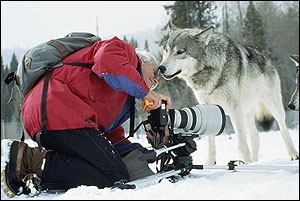 Canis obliviosus - documentary film filmmaking | Ask MetaFilter