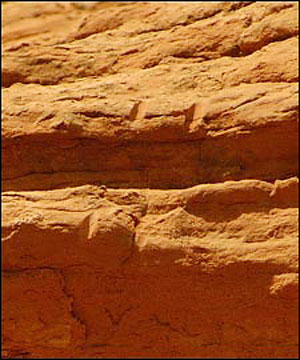 Utah Park Officials Fret over Climb of Delicate Arch : NPR