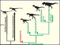 T. Rex Had Humble Origins : NPR