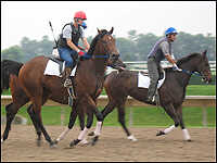 Racehorse Injuries Leave Track Officials at a Loss : NPR