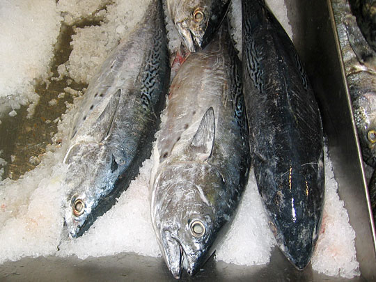 Chef Shares Tips for Netting Freshest Catch : NPR