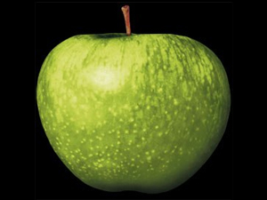 The Beatles’ Apple Records: 40 Years Later. | I read the news today ...