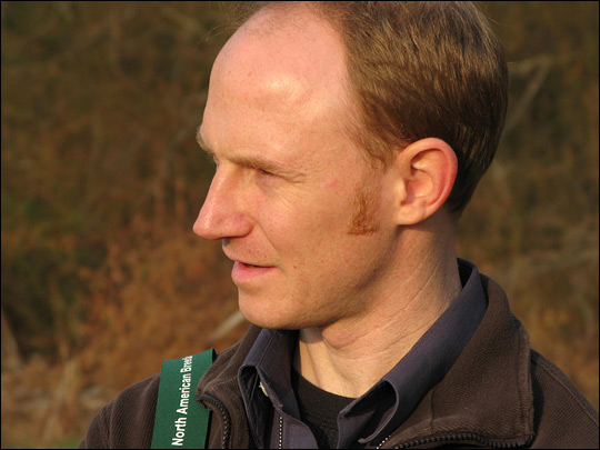 Report Warns Many Bird Species Declining In U.S. : NPR