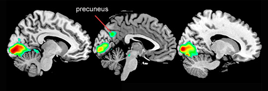 To The Brain, God Is Just Another Guy : NPR